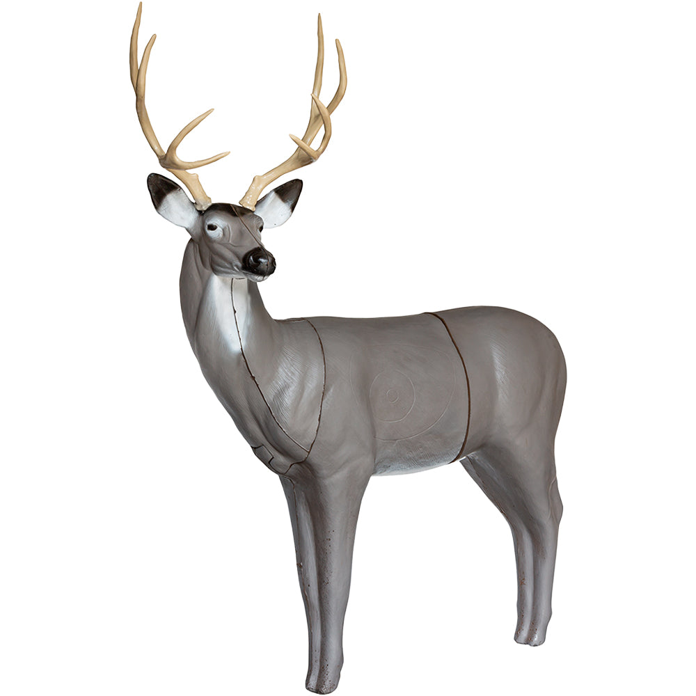 QuivAR Enabled Mule Deer – Feathers & Antlers Outdoors
